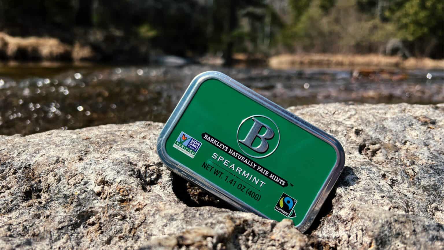 Survival Fishing Tin: The Altoids Kit That Could Save Your Life (2026)