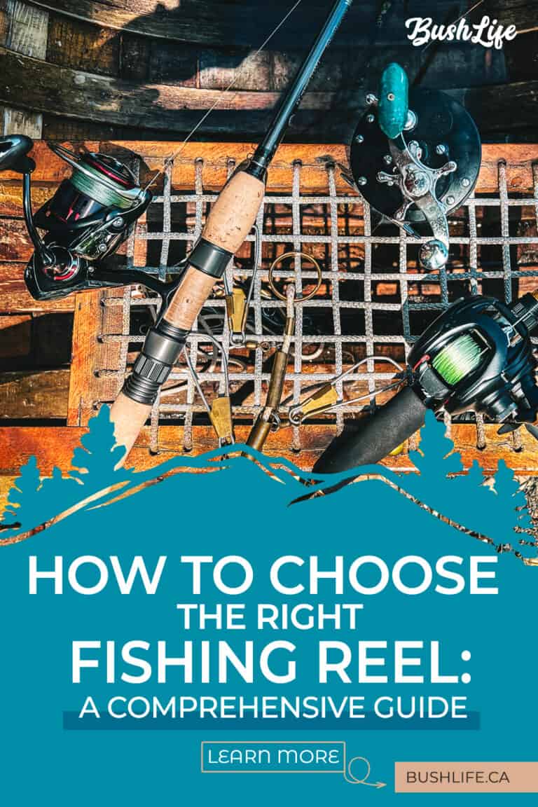 How to Choose the Best Fishing Reel: A Beginner's Guide | BushLife