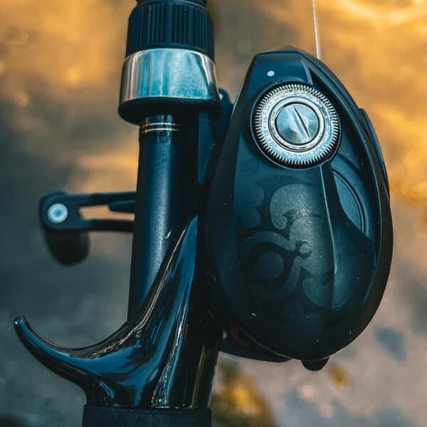 How to Choose the Best Fishing Reel: A Beginner's Guide | BushLife