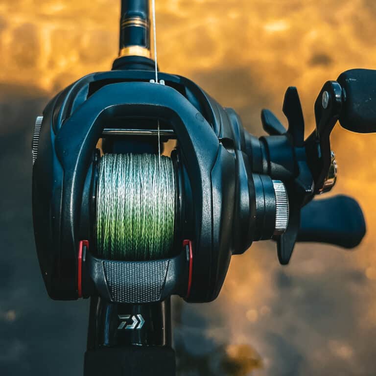 How to Choose the Best Fishing Reel: A Beginner's Guide | BushLife