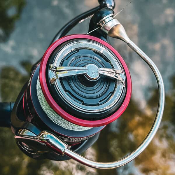 How to Choose the Best Fishing Reel: A Beginner's Guide | BushLife
