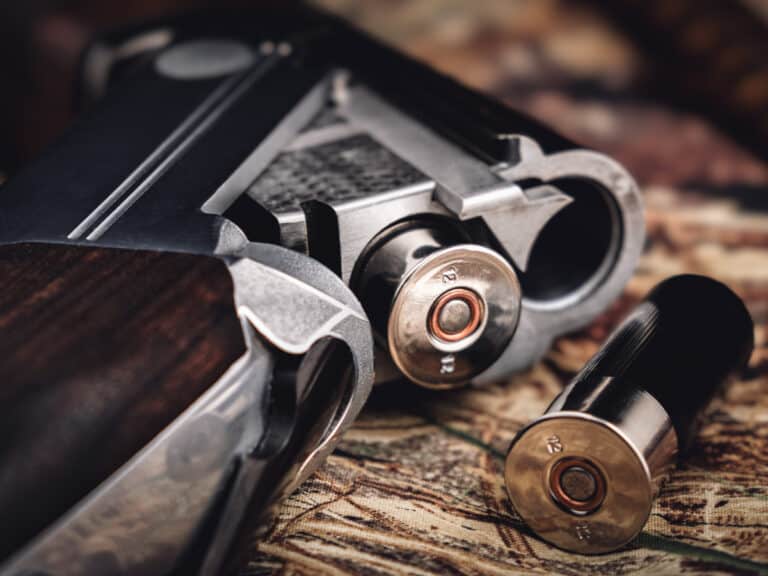 Essential Hunting Safety Tips for New Hunters: Gear, Attire & Rules