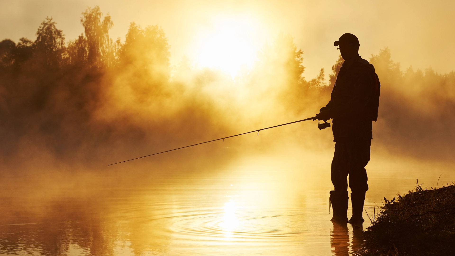 Finesse vs. Power Fishing for Bass: Techniques, Gear & When to Use Each